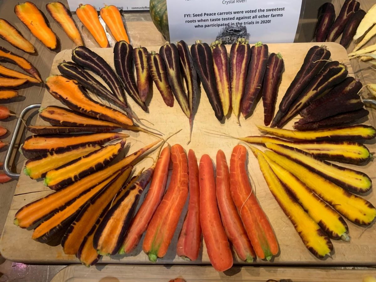 Home ~ Seed Peace ~ Seed Research, Hunger Relief and Education